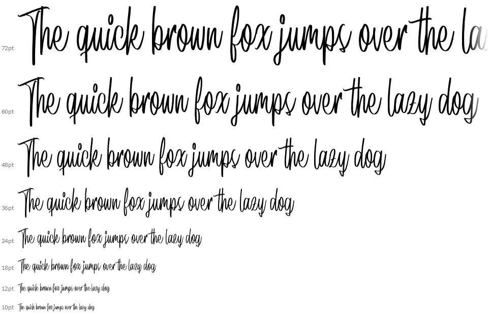 Darita Script font by Colative Studio | FontRiver