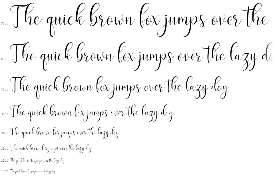 Delight Script font by Amar Lettering | FontRiver