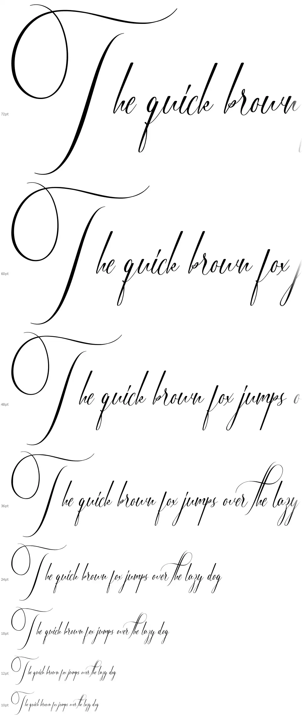 Diamond Flower font by VinType | FontRiver