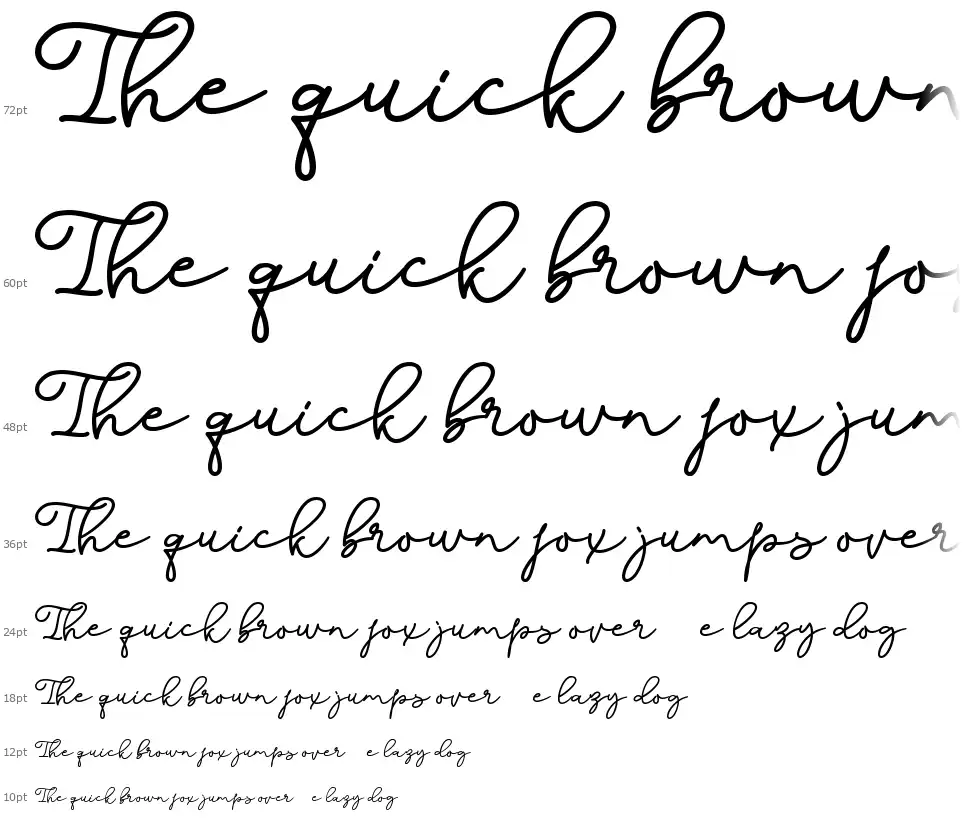 Dinila Script font by aldedesign | FontRiver