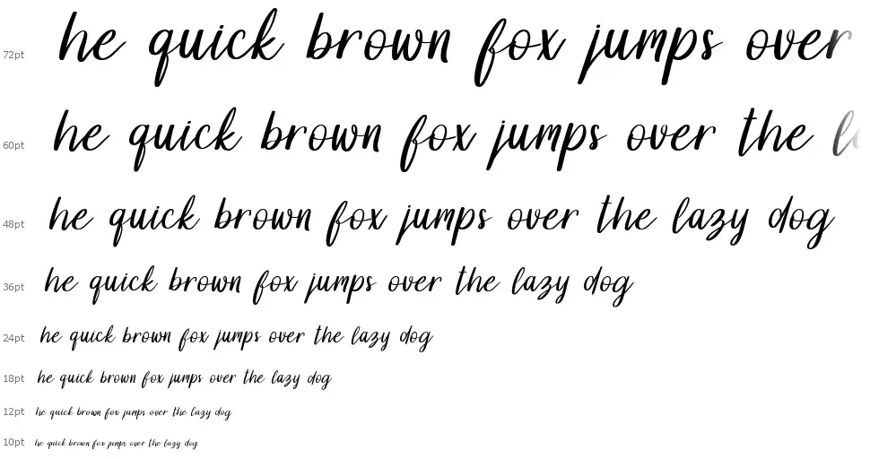 Dollyn Script font by Konstantine Studio | FontRiver