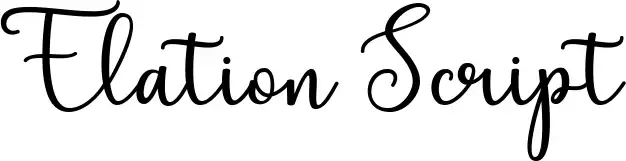 Elation Script font by Cut Story | FontRiver