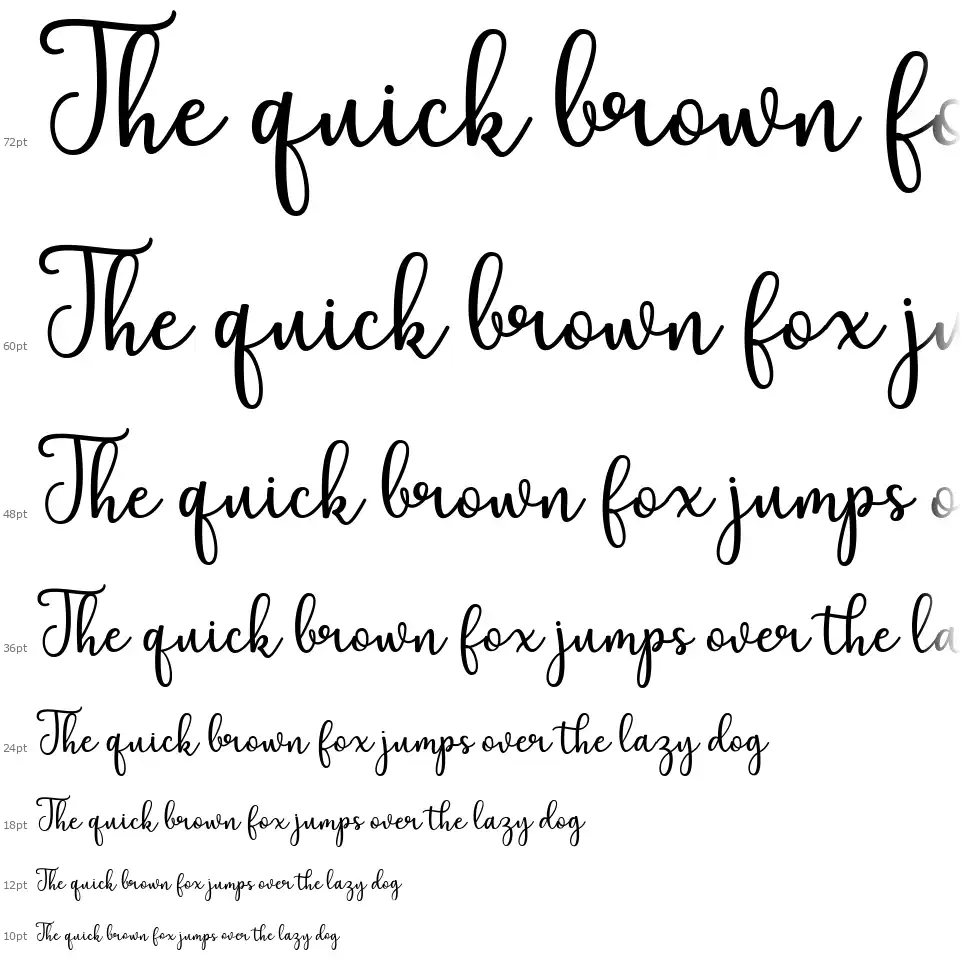 Elation Script font by Cut Story | FontRiver