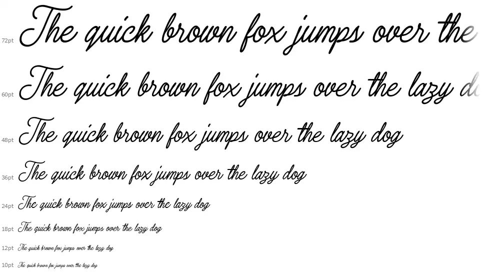 Election Script font by Mikrojihad Typography | FontRiver