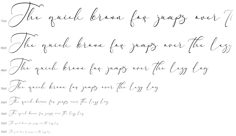 Everything Calligraphy font by aldedesign | FontRiver