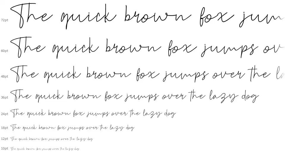 Fayette Signature font by Bearytype | FontRiver