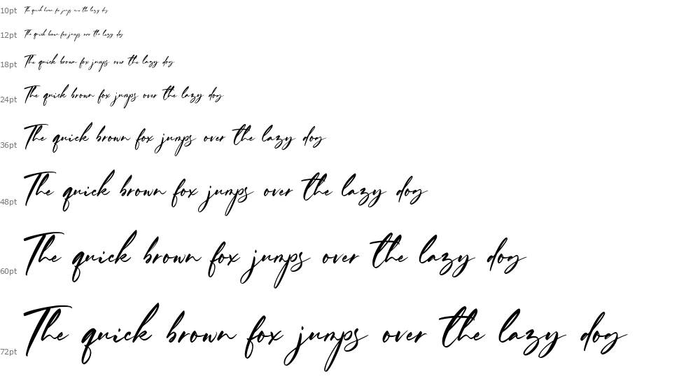 Ferguson Hunter font by Balpirick Studio | FontRiver