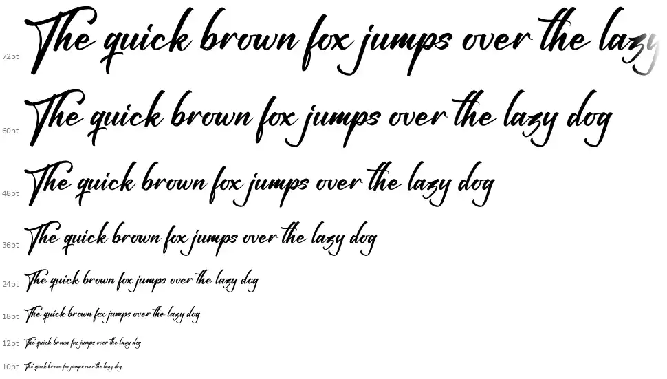 Fighterland Script font by Perspectype Studio | FontRiver