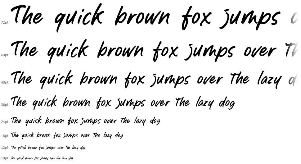 Flamboyan font by Projectype | FontRiver