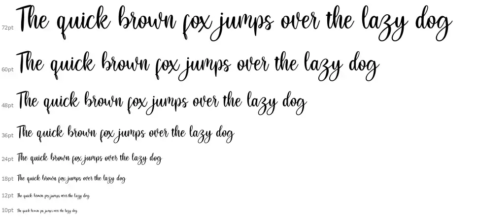 Flashback font by Best Font Studio | FontRiver