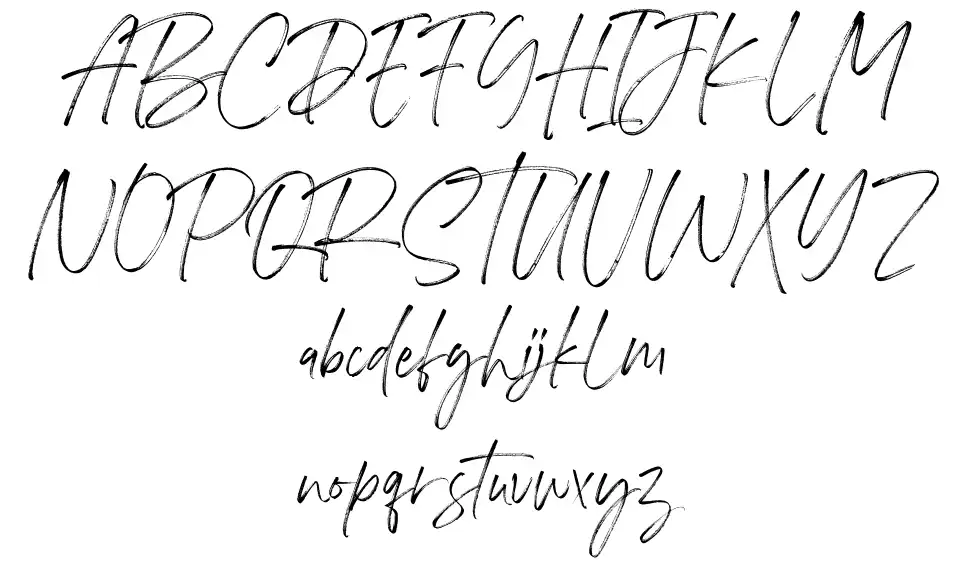 Flassty font by Geranium Space | FontRiver