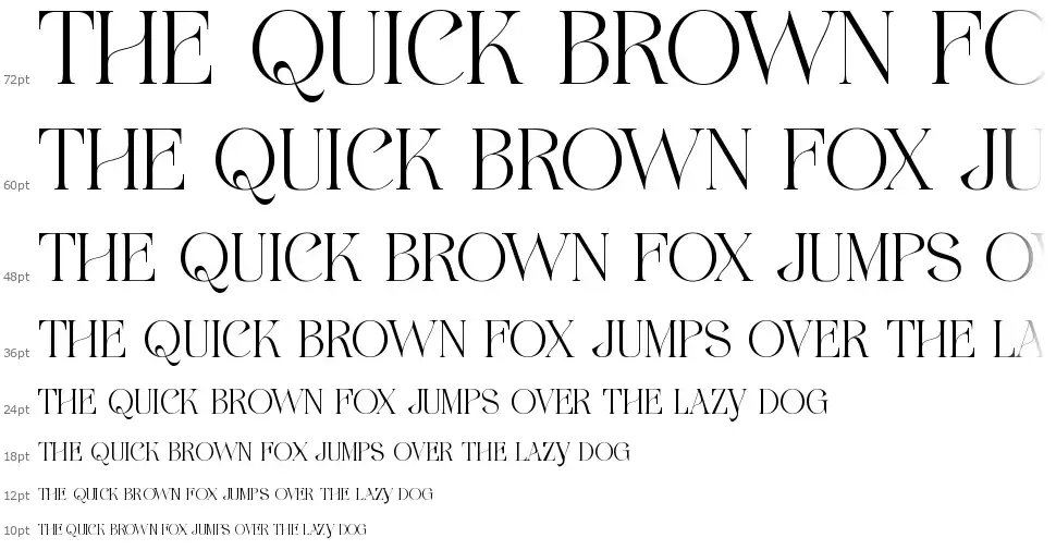 Flowrise font by ToniStudio | FontRiver