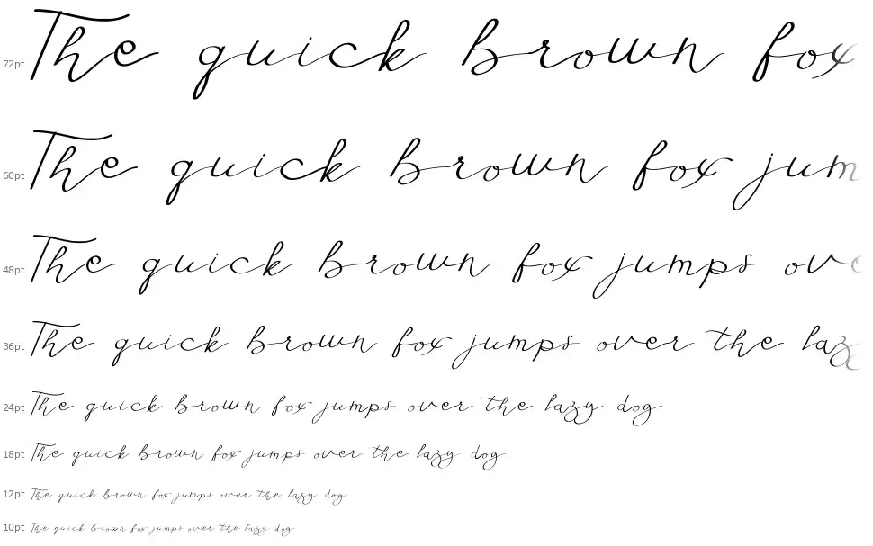 Fly Feather Script font by Edric Studio | FontRiver