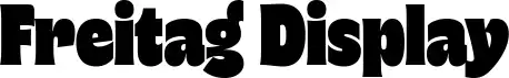 Freitag Display font by ZetaFonts | FontRiver