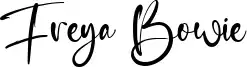 Freya Bowie font by Staircase Studio | FontRiver