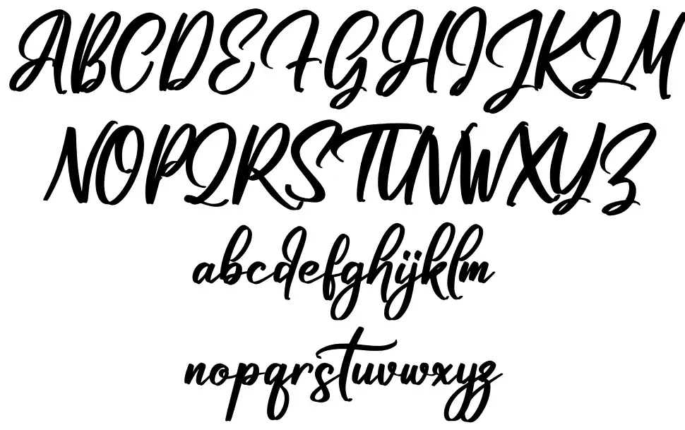 Futuristica Signature font by Perspectype Studio | FontRiver