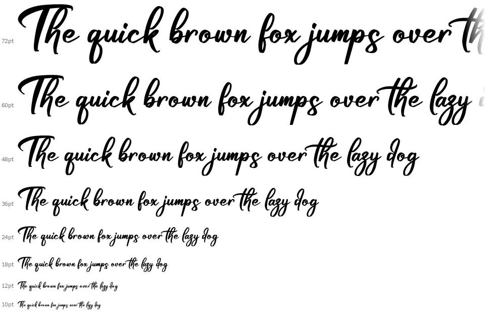 Futuristica Signature font by Perspectype Studio | FontRiver