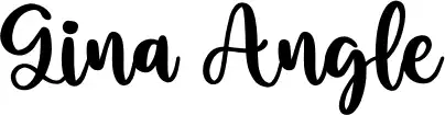 Gina Angle font by Integritype Studio | FontRiver