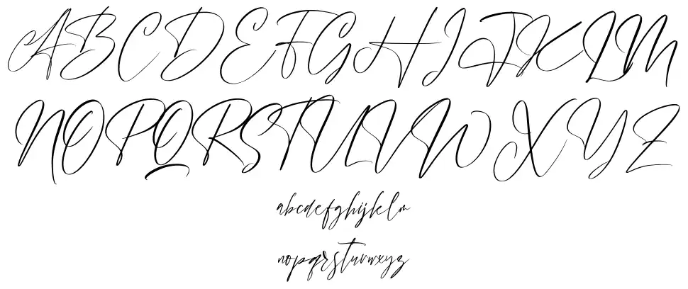 Handover Signature font by Perspectype Studio | FontRiver