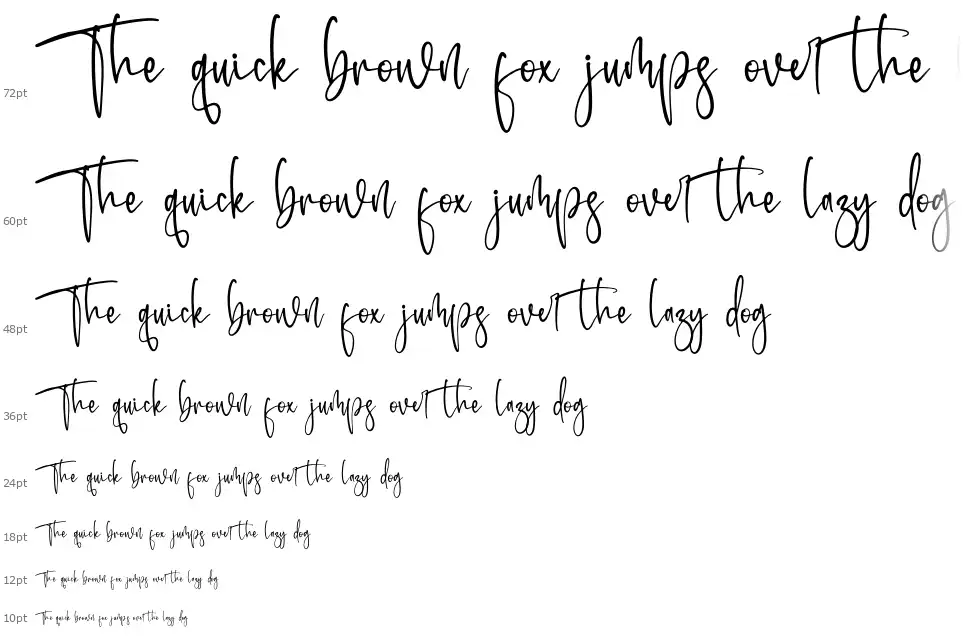 Handwritten Signature font by Letterena Studios | FontRiver