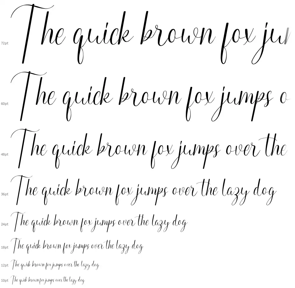 Happy Married font by Calligraphy Fonts | FontRiver