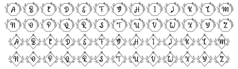 Heleny Monogram font by Attype Studio | FontRiver