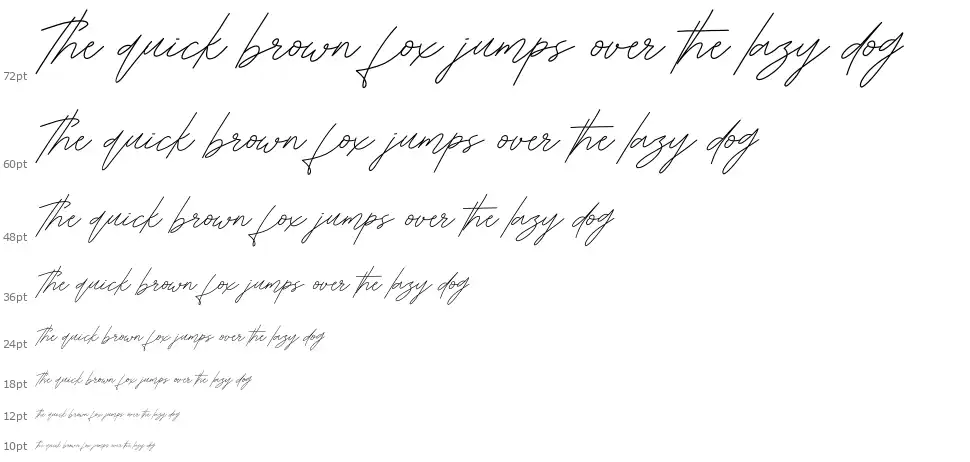 Holly Signature font by Elbanadha Creative | FontRiver