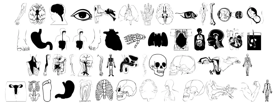 Human Body Parts font by Woodcutter | FontRiver