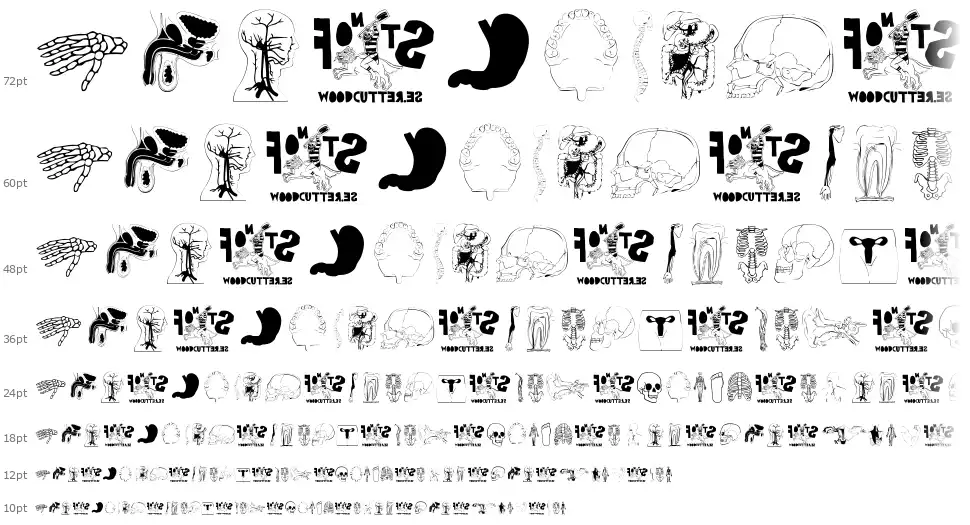 Human Body Parts font by Woodcutter | FontRiver