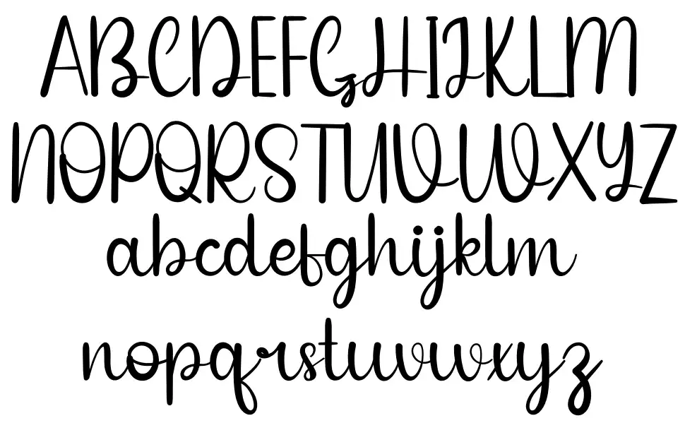 Input Moment font by belina studio | FontRiver