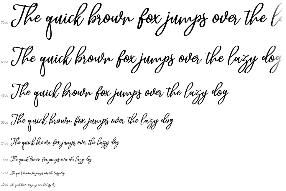 Javelyn font by Amar Lettering | FontRiver