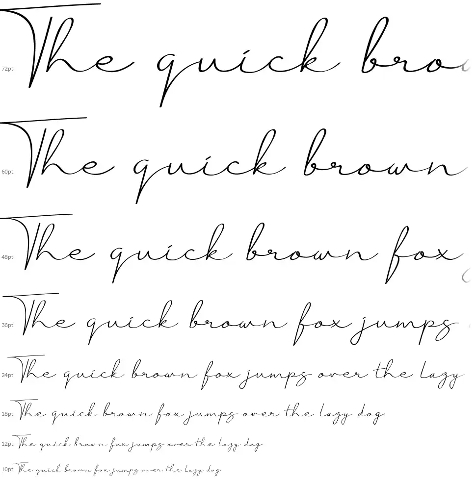 Just Signature font by Creatype Studio | FontRiver