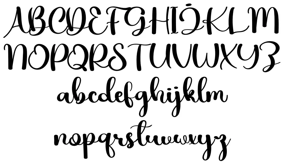 Kamilla font by Erik Studio | FontRiver