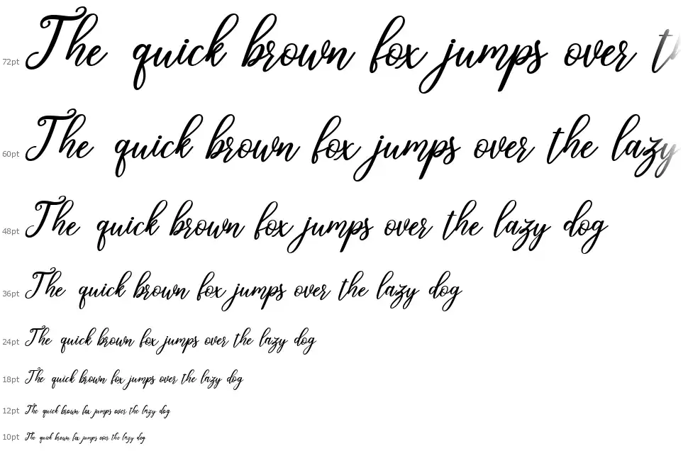 Leighton font by Amar Lettering | FontRiver