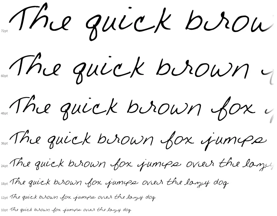 Little Bird font by FontPanda | FontRiver