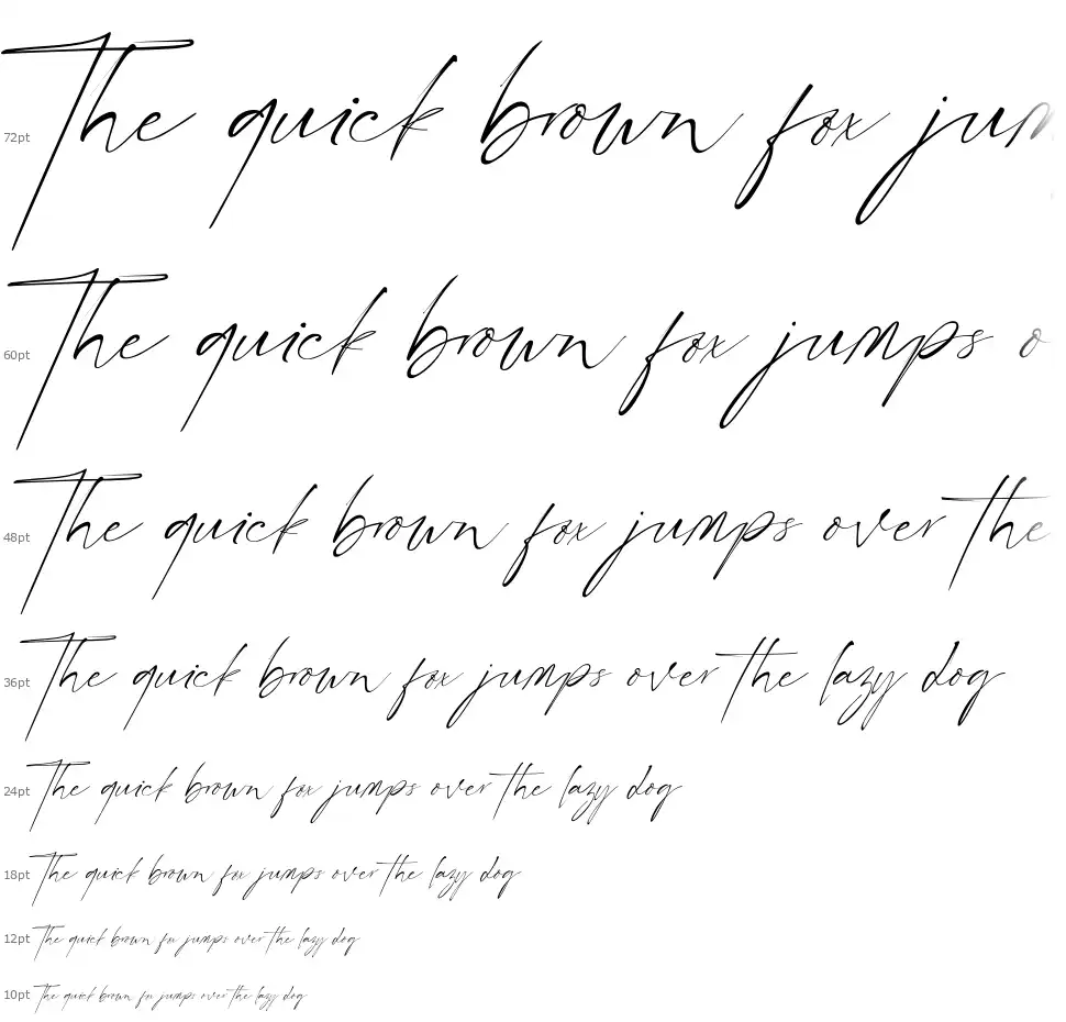 Little Hampton font by Typeline Studio | FontRiver