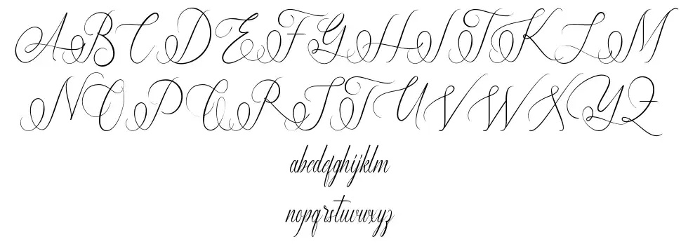 Louis Ahera font by Calligraphy Fonts | FontRiver