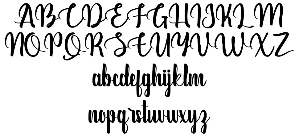 Love Heist Script font by VinType | FontRiver