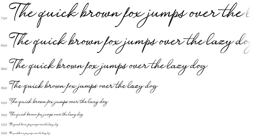 Loyalty Script font by 50 Fox | FontRiver