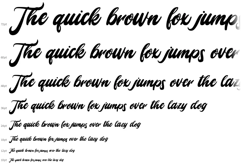 Mady Risaw font by StringLabs Creative Studio | FontRiver