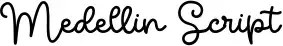 Medellin Script font by Beautypes | FontRiver