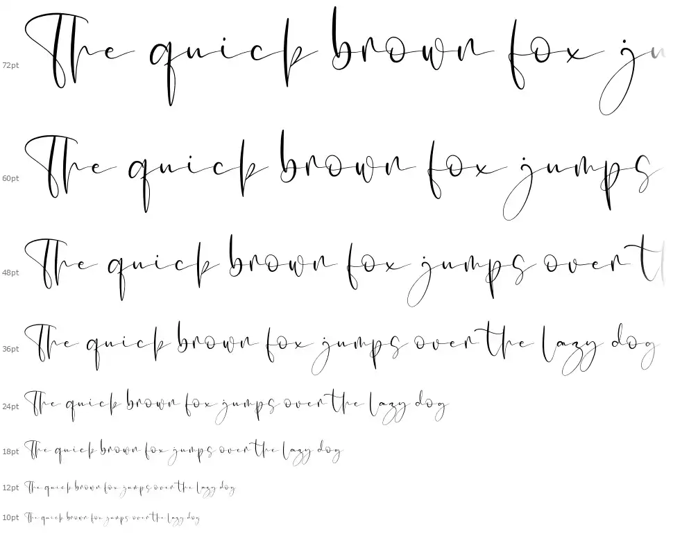 Mellyani Script font by Integritype Studio | FontRiver