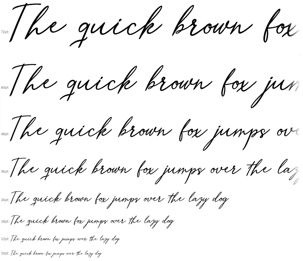 Merrxi Script font by mightype | FontRiver