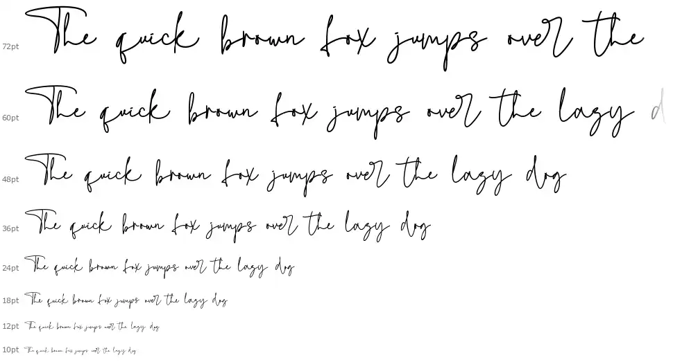 Michael Signature font by Stefani Letter | FontRiver
