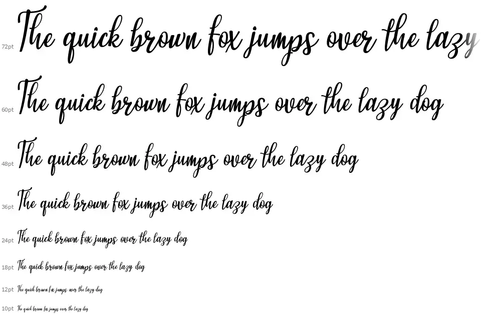 Michelle Stine Script font by Aqeela Studio | FontRiver