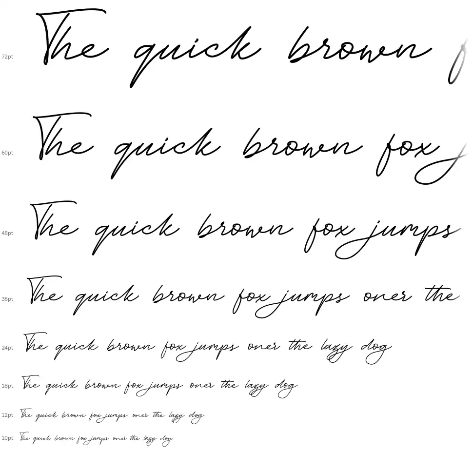 Midline Regular font by Calligraphy Fonts | FontRiver