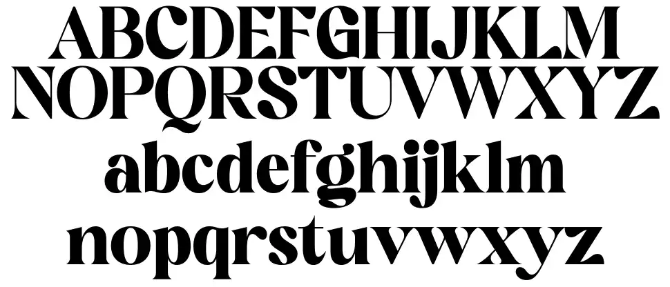 Minal font by Storytype Studio | FontRiver