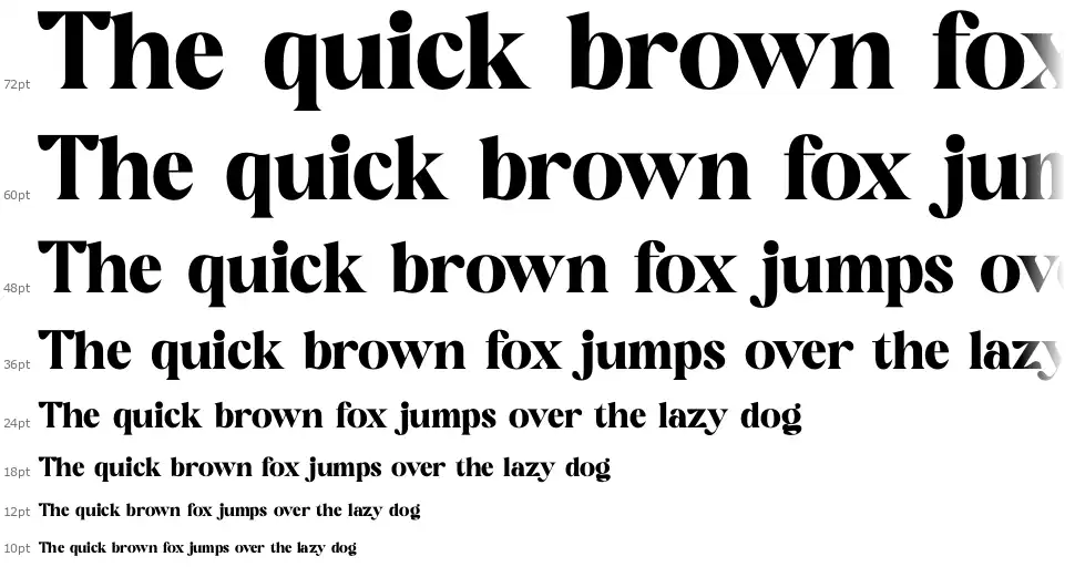 Minal font by Storytype Studio | FontRiver