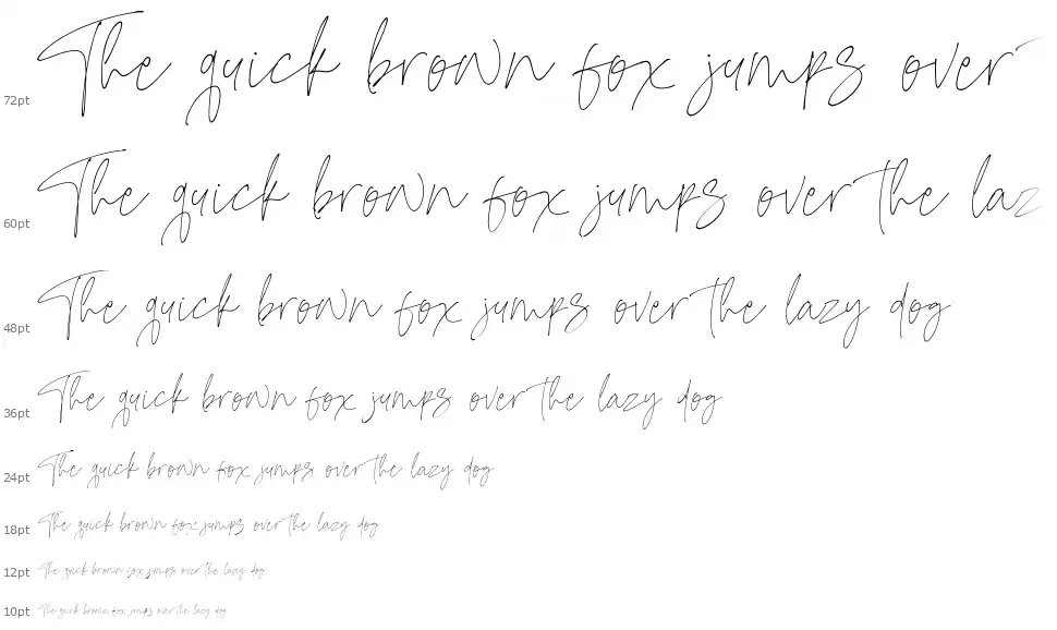 Mode Style Script font by Motokiwo | FontRiver