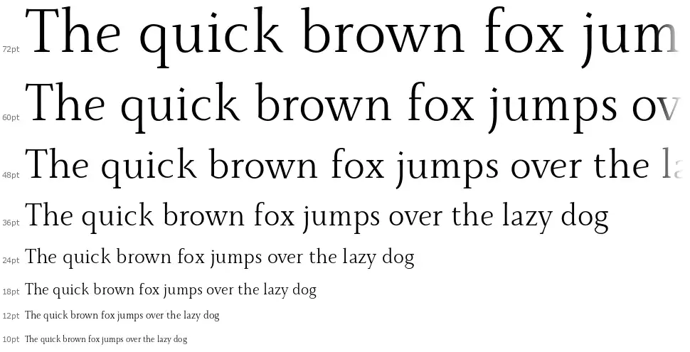 Monterchi Serif font by ZetaFonts | FontRiver